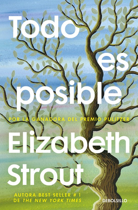 Todo es posible / Anything is Possible, Elizabeth Strout ...
