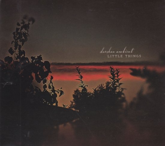 Little Things, Darshan Ambient | CD (album) | Muziek | bol.com