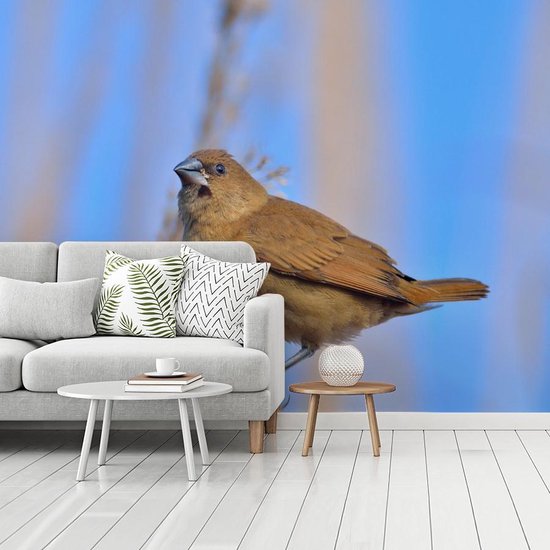 Behang - Fotobehang - Loodbekje op riet onder een heldere lucht ...