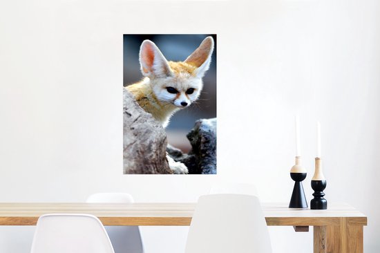 Fennek vos op een oude boomstam Poster 60x90 cm - Foto print op Poster (wanddecoratie... | bol.com
