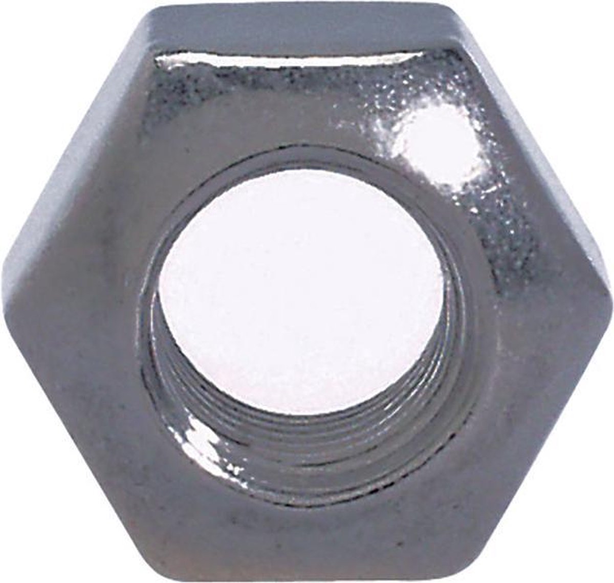 Moer wantspanner linkse draad M12 RVS-316 | bol.com