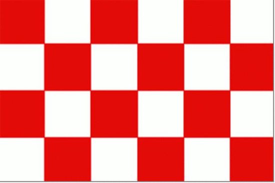 Start vlag 50x75cm | bol