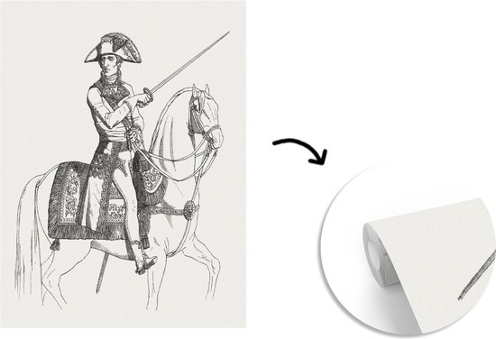 Papier peint photo vinyle - Illustration de Napoleon Bonaparte sur un ...