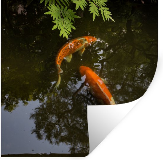 Muurstickers - Sticker Folie - Twee koi karpers om een vijver - 50x50 cm - Plakfolie -... | bol
