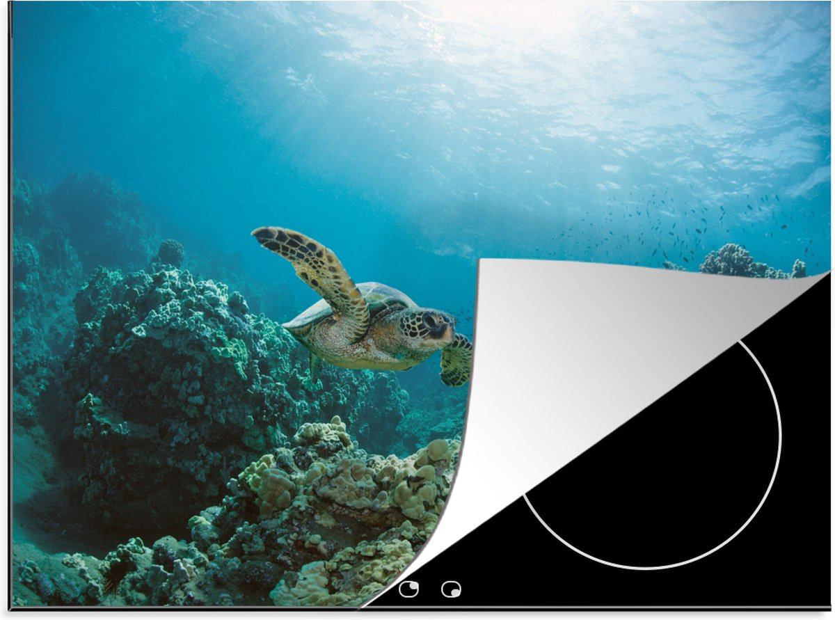 Inductie beschermer - Inductie Mat - Kookplaat beschermer ...