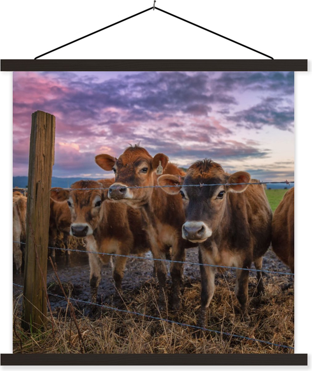Porte-affiche avec affiche - Affiche scolaire - Vache - Animaux ...
