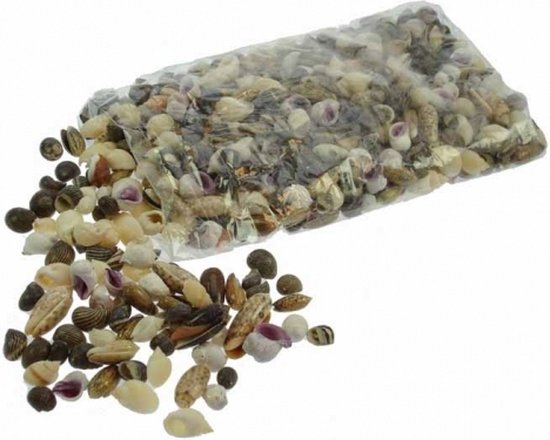 Kleine decoratie schelpen/schelpjes 2 kilo - Maritieme decoraties ...