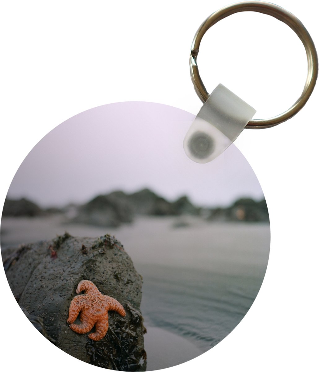 Sleutelhanger - Zeester op een steen aan het strand in Oregon - Plastic ...