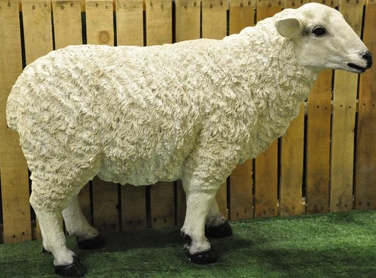 Full Size Resin Garden Sheep | bol.com
