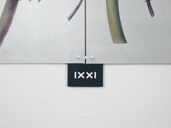 IXXI The Beauties of Flora, Clara Maria Pope & Natural History Museum ...