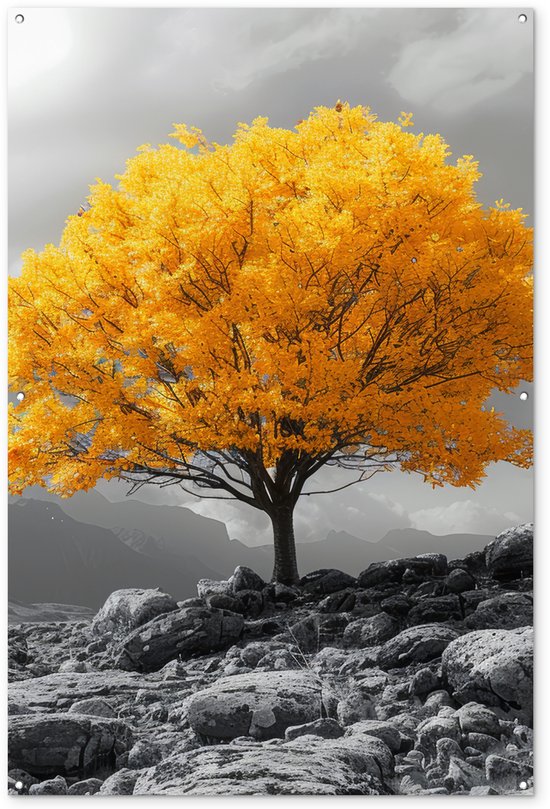 Tuinposter 120x180 cm - Tuindecoratie Boom - Geel - Natuur - Zwart wit ...