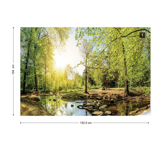 Fotobehangkoning - Fotobehang - Vliesbehang - Behang - Zonnig Bos met ...