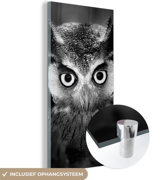 Glasschilderij - Foto op glas - Wilde dieren - Uil - Vogel - Zwart ...