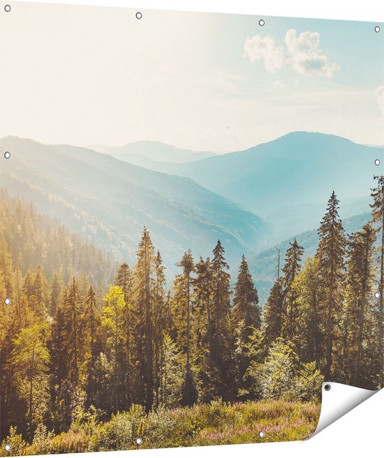 Gards Tuinposter Bos met Bomen in de Hoge Bergen - 120x120 cm ...