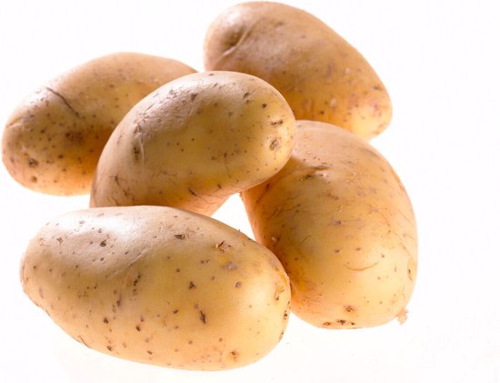 25x Solanum Tuberosum "Annabel" | Aardappelen om te kweken | Groenten ...