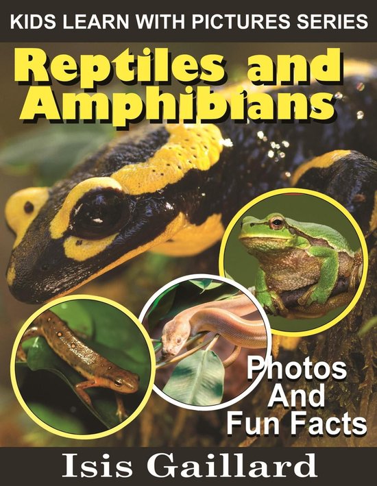 Kids Learn With Pictures 119 - Reptiles and Amphibians Photos and Fun ...