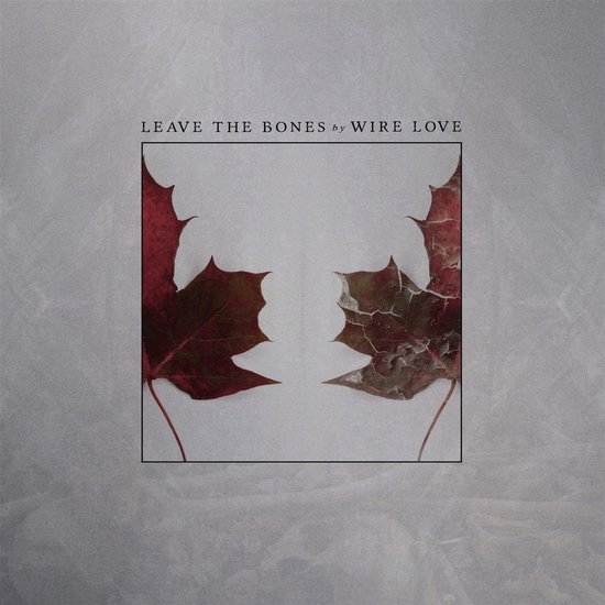 Wirelove - Leave The Bones (LP), Wirelove | LP (album) | Muziek | bol.com