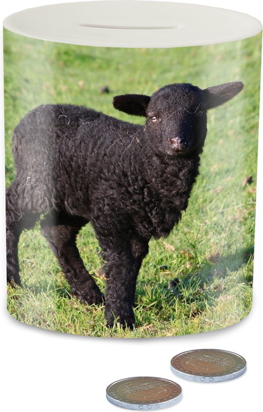 Spaarpot - Spaarblik - Schaap - Lam - Zwart - Gras - Spaarpotten ...
