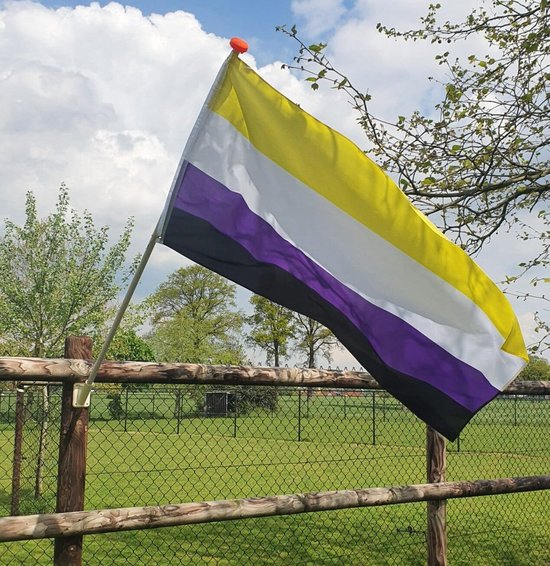Non Binair vlag - Non Binary Pride Flag - Non Binair flag | bol