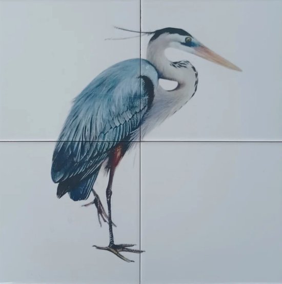 Reiger | bol.com