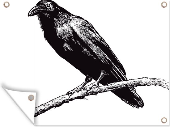 Tuin decoratie Vogel - tekening - Raaf - 40x30 cm - Tuindoek | bol
