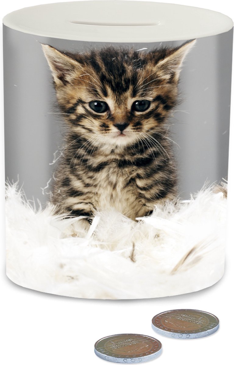 Spaarpot - Spaarblik - Kat - Kitten - Veren - Spaarpotten - Volwassenen ...