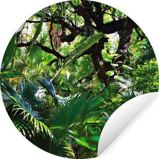 WallCircle - Muurstickers - Behangcirkel - Prachtige patronen van bladeren en bomen in... | bol