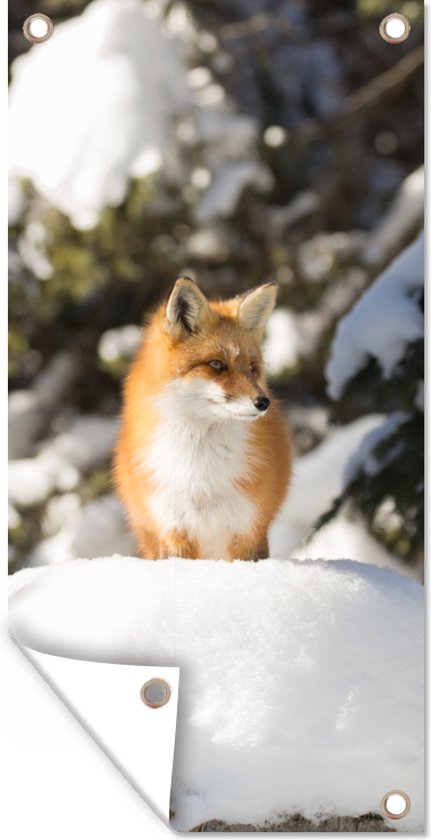 Décoration murale extérieure Renard - Neige - Arbre - 80x160 cm - Toile ...