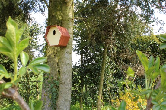 Capi Europe - Vogelhuisje ovaal Hive bruin | bol