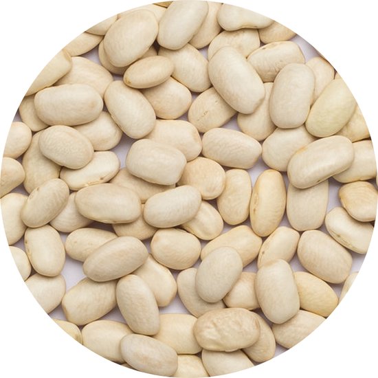 Witte bonen medium heel - 1 Kg - Holyflavours - Biologisch | bol