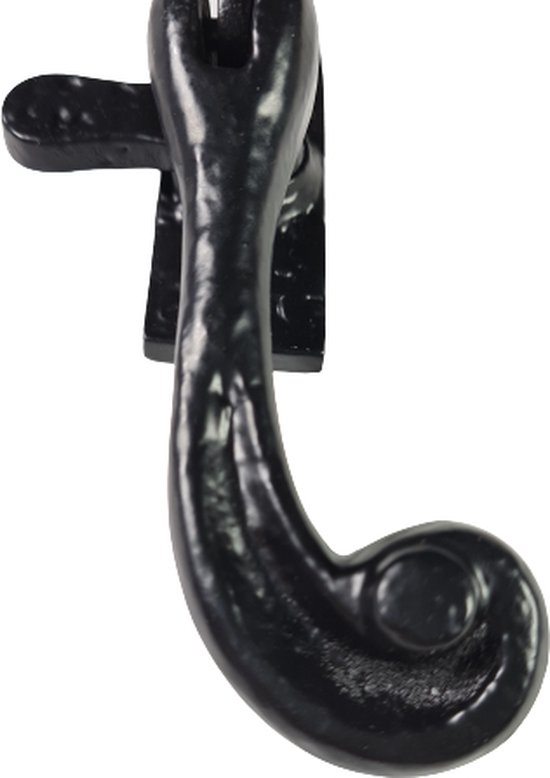 Raamhendel zwart, Raamboom zwart DOTS | bol