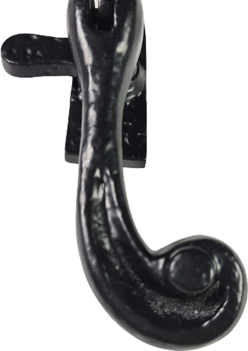 Raamhendel zwart, Raamboom zwart DOTS | bol