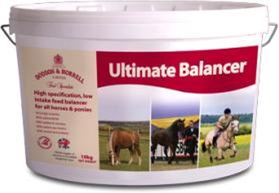 Ultimate Balancer 10kg | bol.com