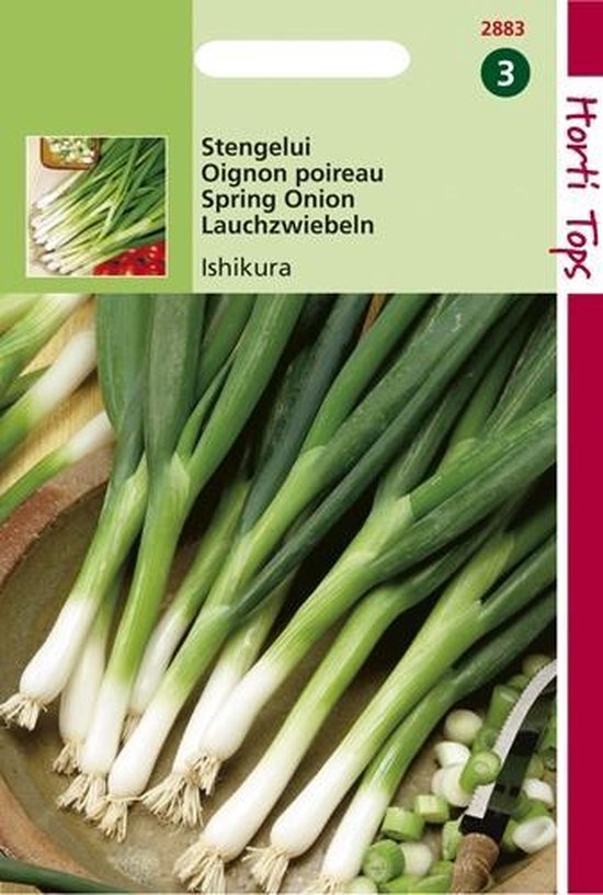 2 stuks - Hortitops - Stengel Ui Ishikura Allium Fistulosum | bol