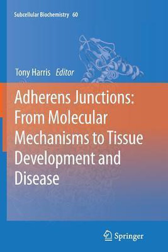 Subcellular Biochemistry- Adherens Junctions: from Molecular Mechanisms ...