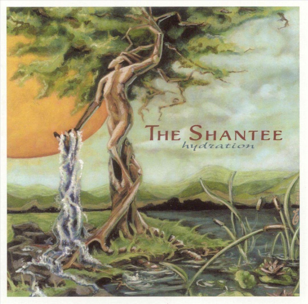 Hydration, The Shantee | CD (album) | Muziek | bol