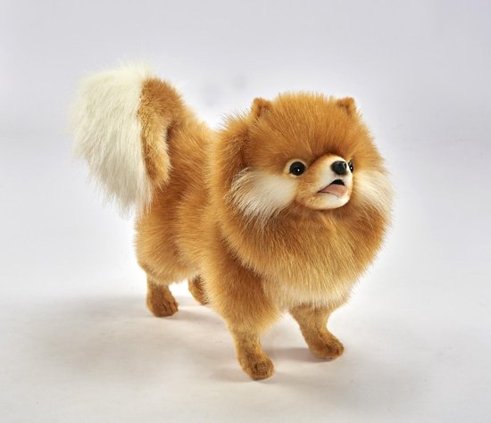 Dwergkeeshond 28 cm, Hansa (7018) | bol.com