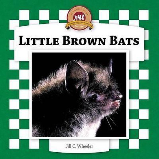 Little Brown Bats | 9781596793255 | Jill C. Wheeler | Boeken | bol.com