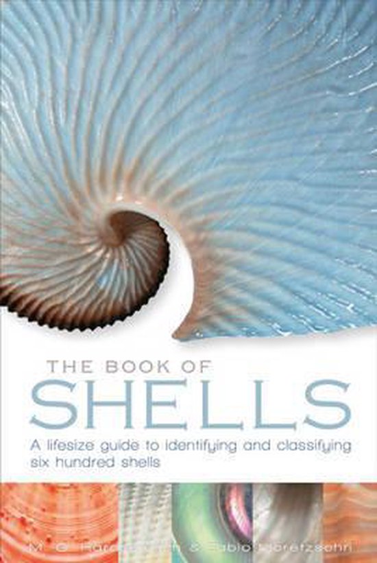 Book Of Shells | 9781408125274 | Fabio Moretzsohn | Boeken | bol