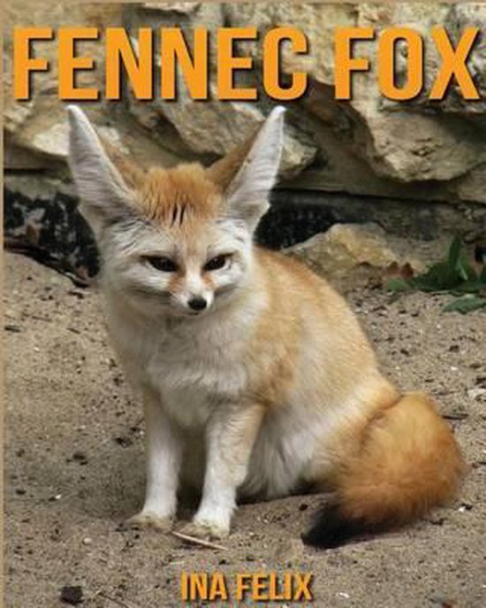 Fennec fox, Ina Felix | 9781532718212 | Boeken | bol.com