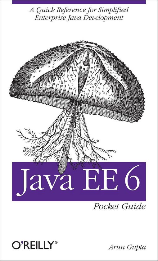 Java EE 6 Pocket Guide (ebook), Arun Gupta | 9781449338343 | Boeken | bol