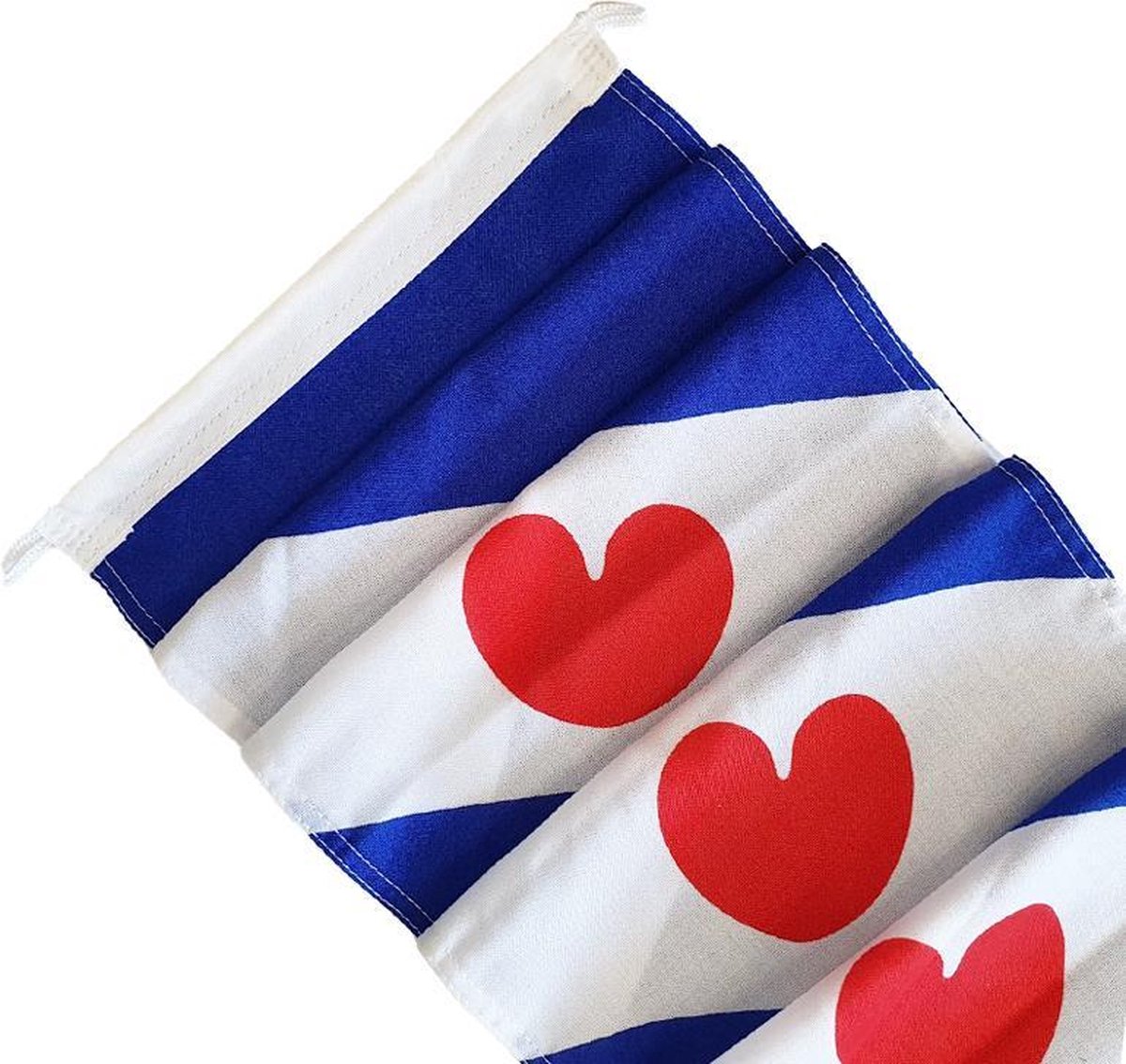 NR 407: Premium kwaliteit wimpel Friesland 300cm 100% stil (zonder ...