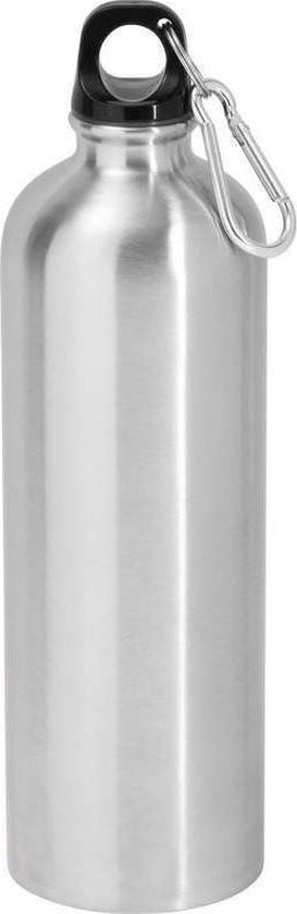 RVS drinkfles 750 ml | bol