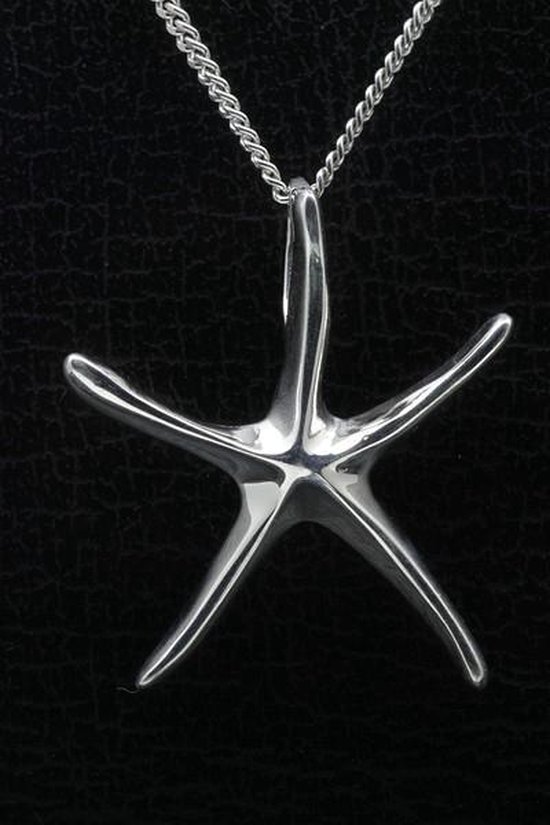 Zilveren Zeester ketting hanger - XL | bol.com