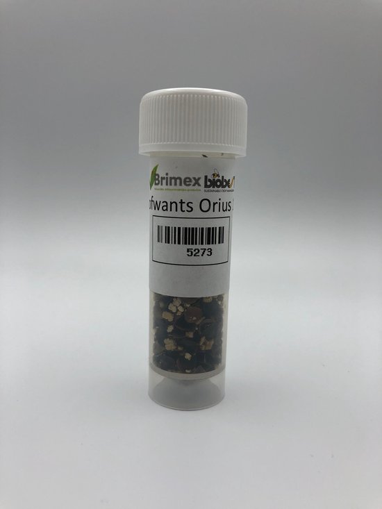 Brimex roofwants Orius system 100 stuks tegen trips | bol