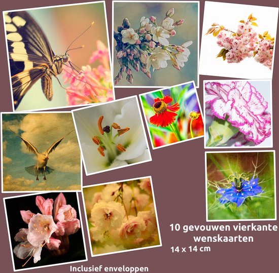 Set blanco gevouwen wenskaarten 10 stuks | bol