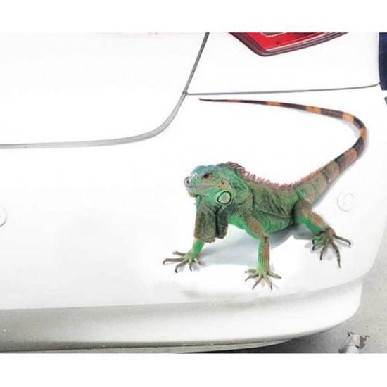 Auto sticker hagedis patroon | bol