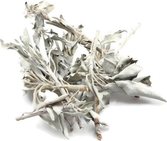 Witte Salie inhoud 25 gram | bol.com