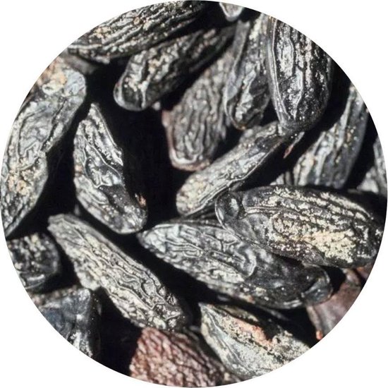 Tonkabonen Heel - 1 Kg - Holyflavours - Biologisch gecertificeerd | bol.com