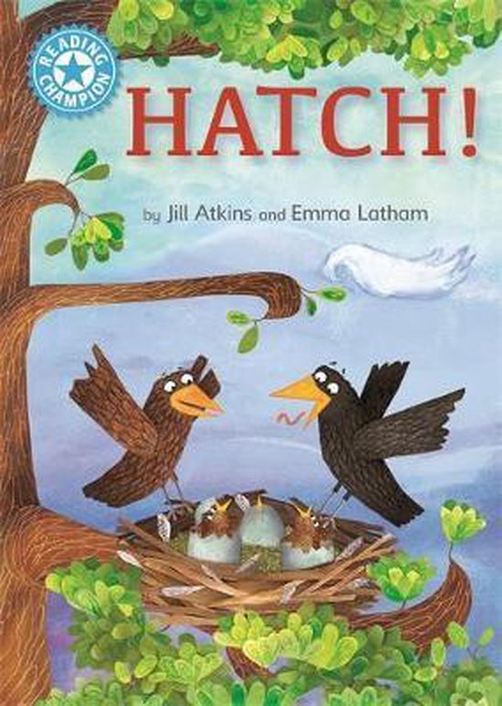 Hatch Independent Reading Blue 4 Reading Champion | 9781445168036 ...